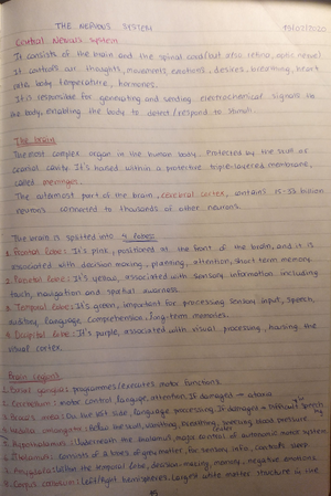 example exam questions on respiratory system - Respiratory system ...