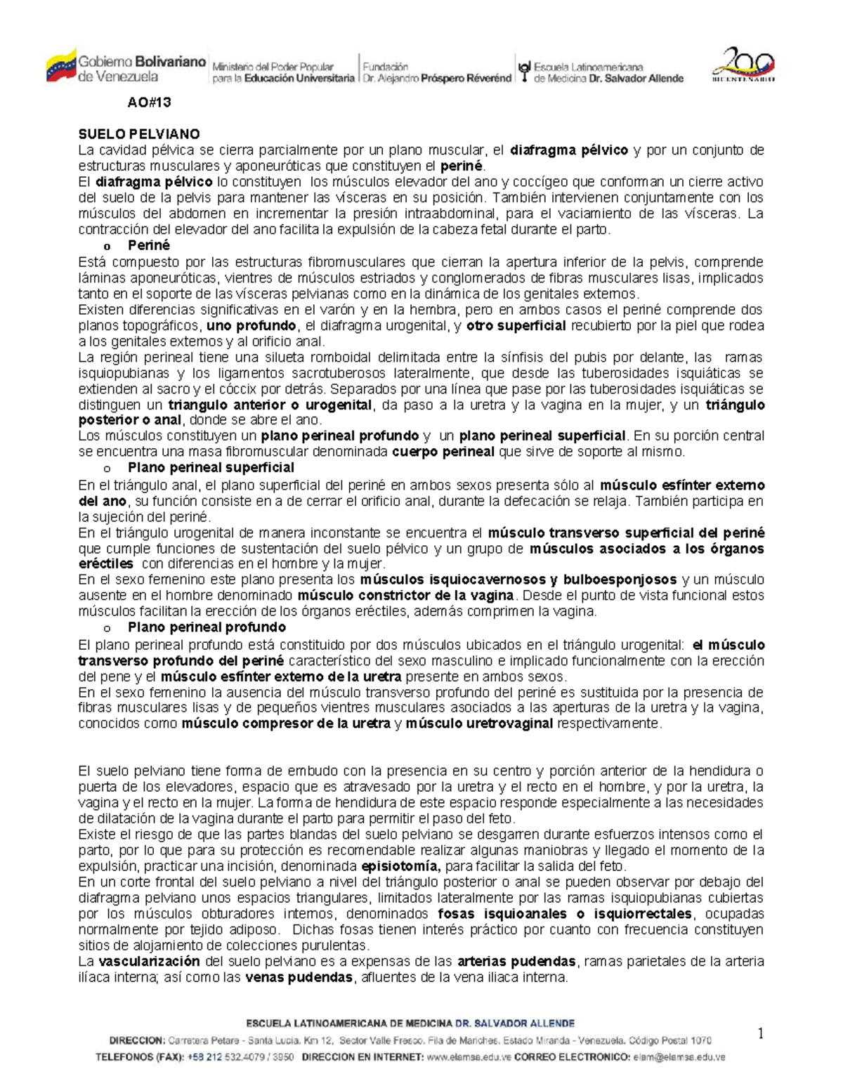AO#13 043336 - Estudio Completo sobre el Suelo Pelviano y Embarazo ...