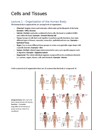 [Solved] Which organelle can be considered a housing unit for proteins ...
