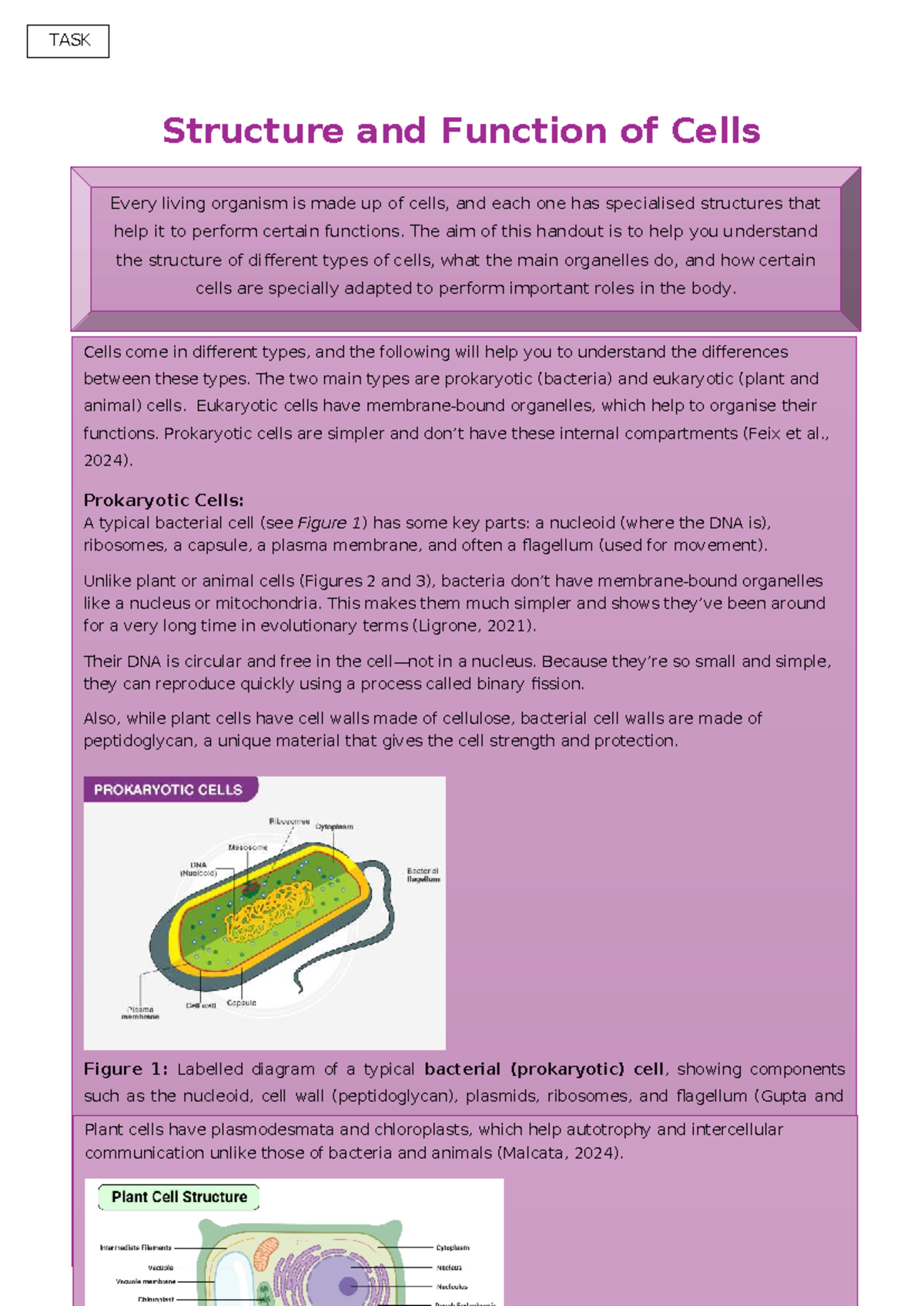 Structure and Function of Cells: Task 1-4 Overview and Insights - Studocu