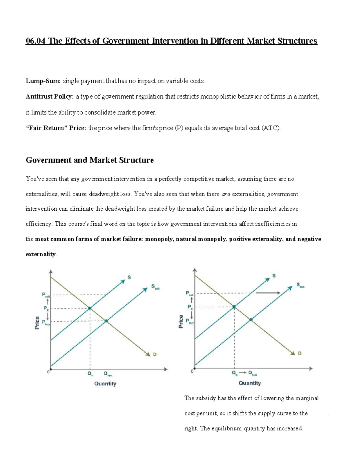 06.04 Government Intervention's Impact on Market Structures and ...