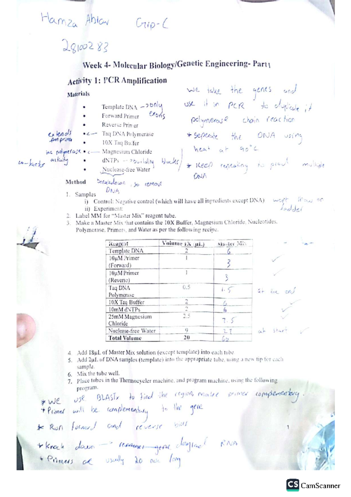 Molecular Biology 28100283 Week 1: PCR Amplification Activity - Studocu