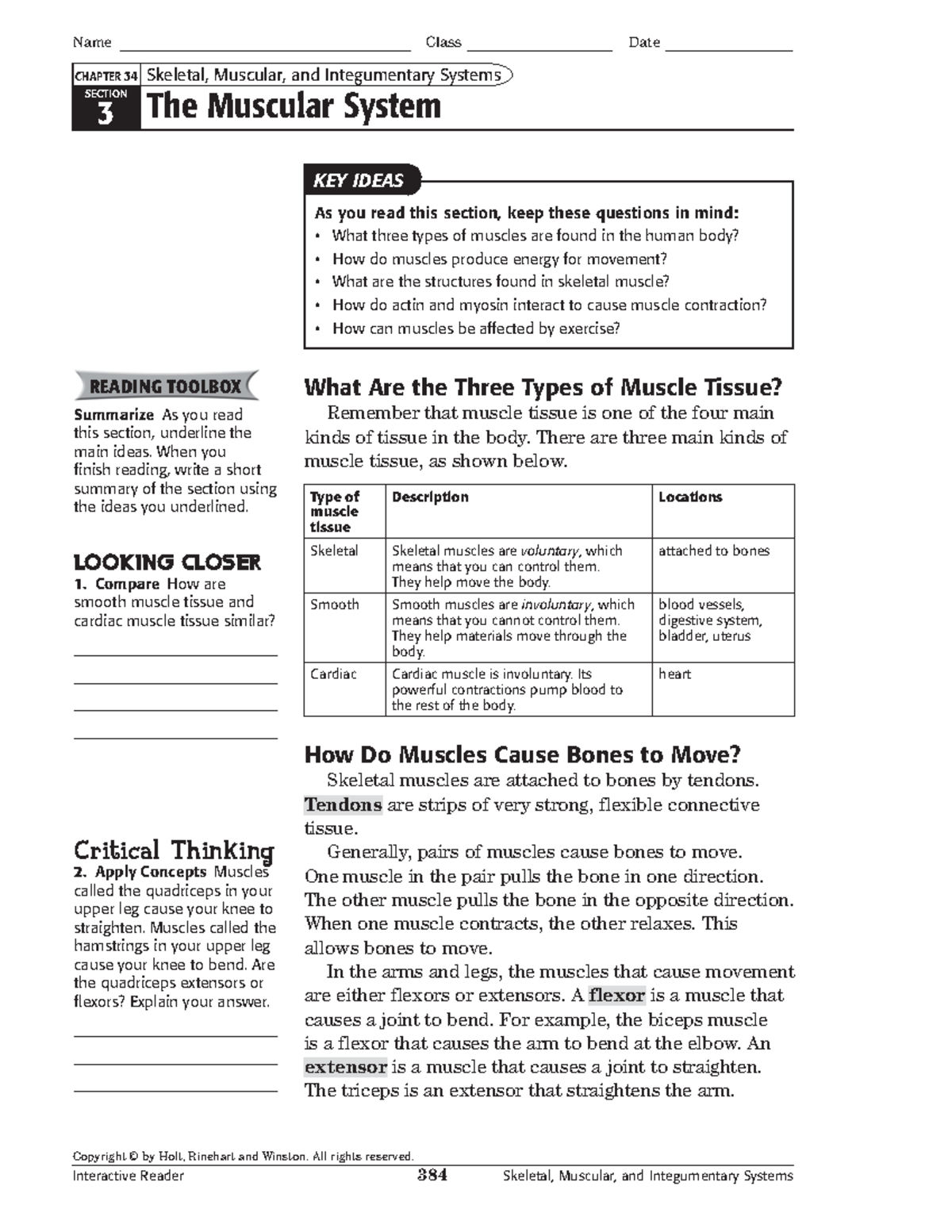Reading-16-Muscular System - As you read this section, keep these ...