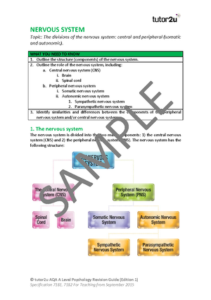 Cognitive Neuroscience Overview: Key Concepts & Applications CA 8 Marks ...