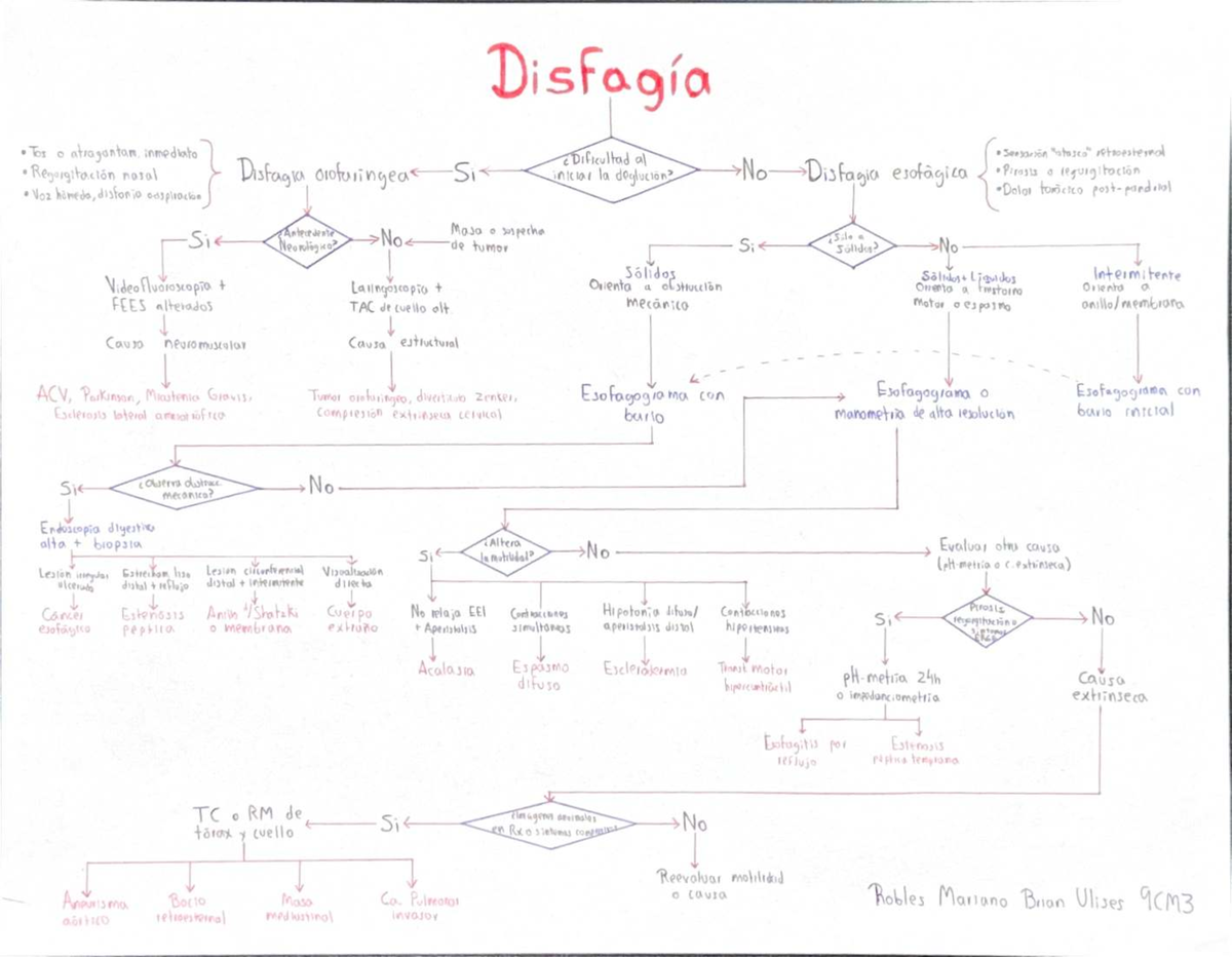 Algoritmo sobre Disfagia: Diagnóstico y Manejo Clínico - Studocu