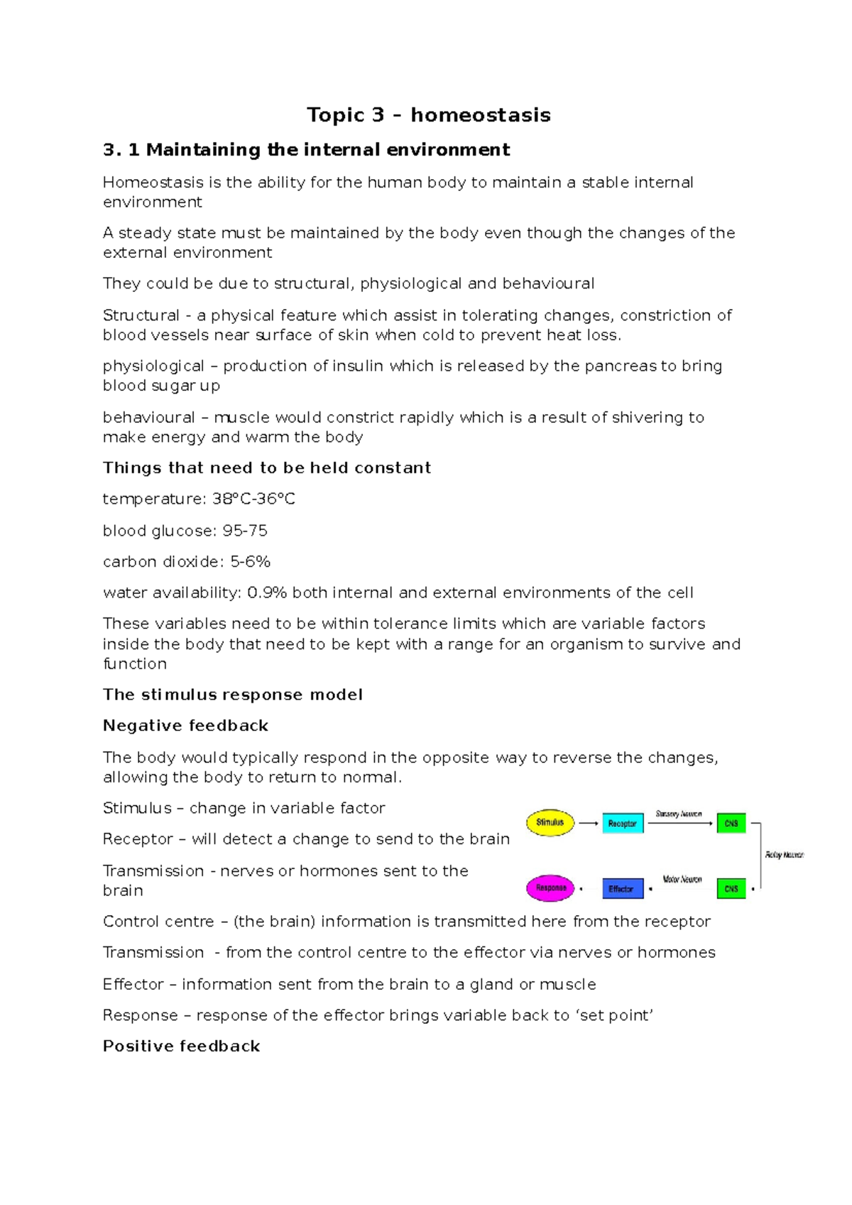 Biology 3: Homeostasis and the Nervous & Endocrine Systems Notes - Studocu