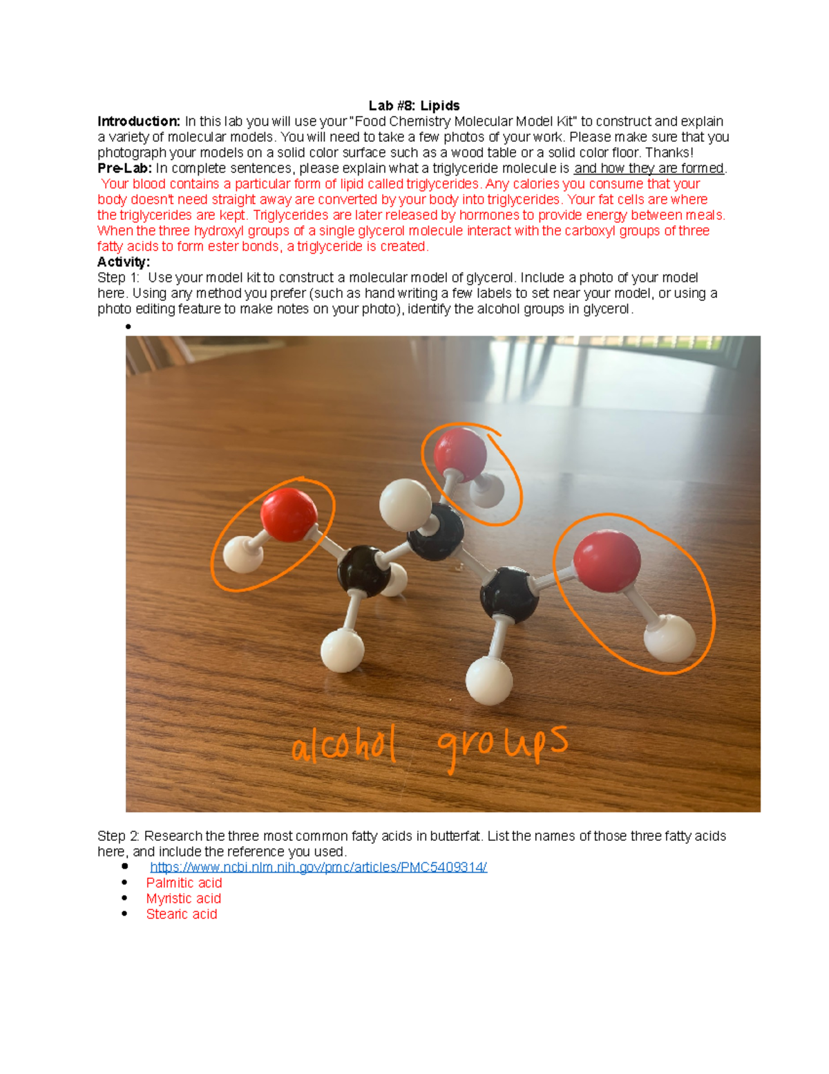 Biochemistry Lab 8: Exploring Lipids & Molecular Models with Betsy ...