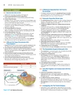 Quiz: Biology Concepts and Investigations, Chapter Three Review - BIOL ...