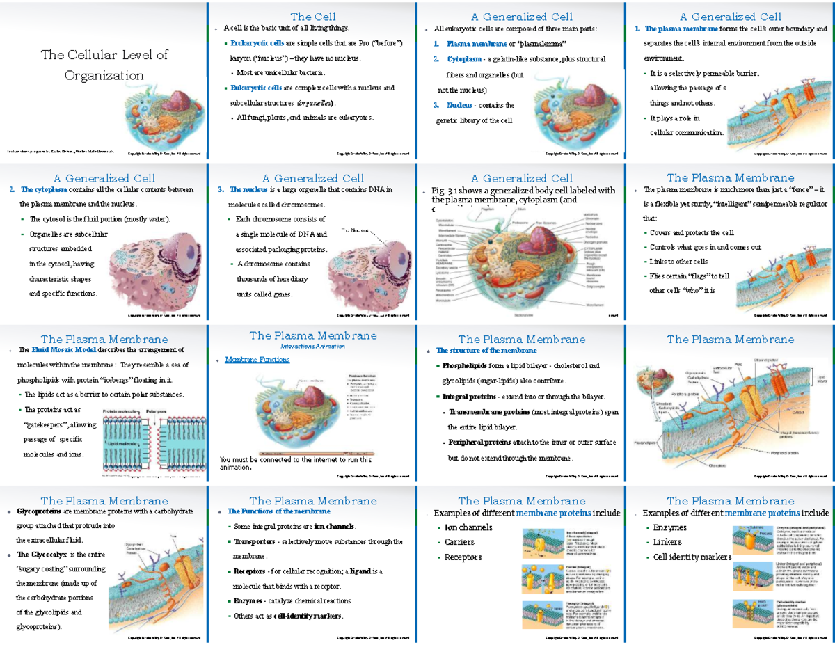 Cell Physiology 1 - review - Copyright © John Wiley & Sons, Inc. All ...