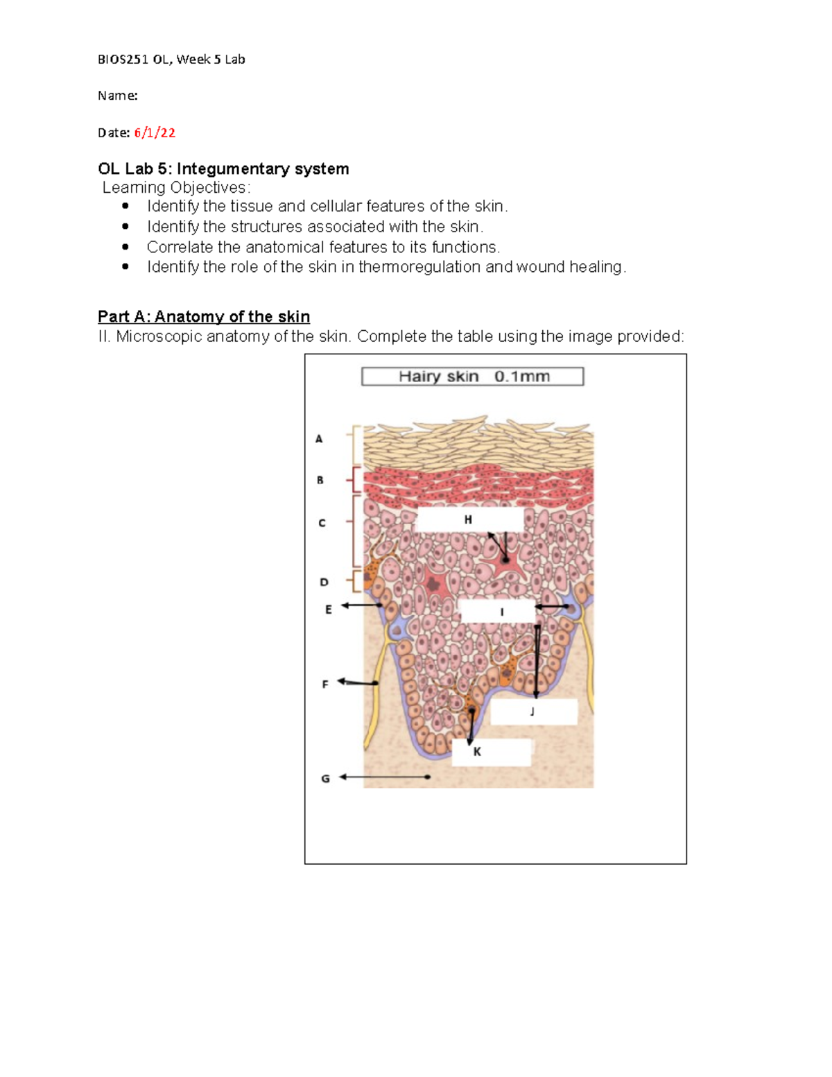 Lab 5 - Dr. Sandra Hampton - Name: Date: 6/1/ OL Lab 5: Integumentary ...