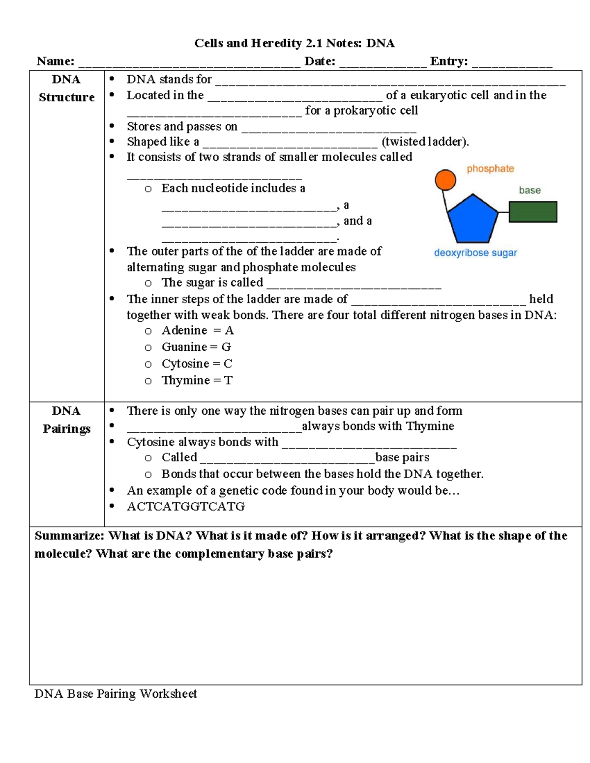 Cells and Heredity 2.1: DNA Structure and Base Pairing Notes - Studocu