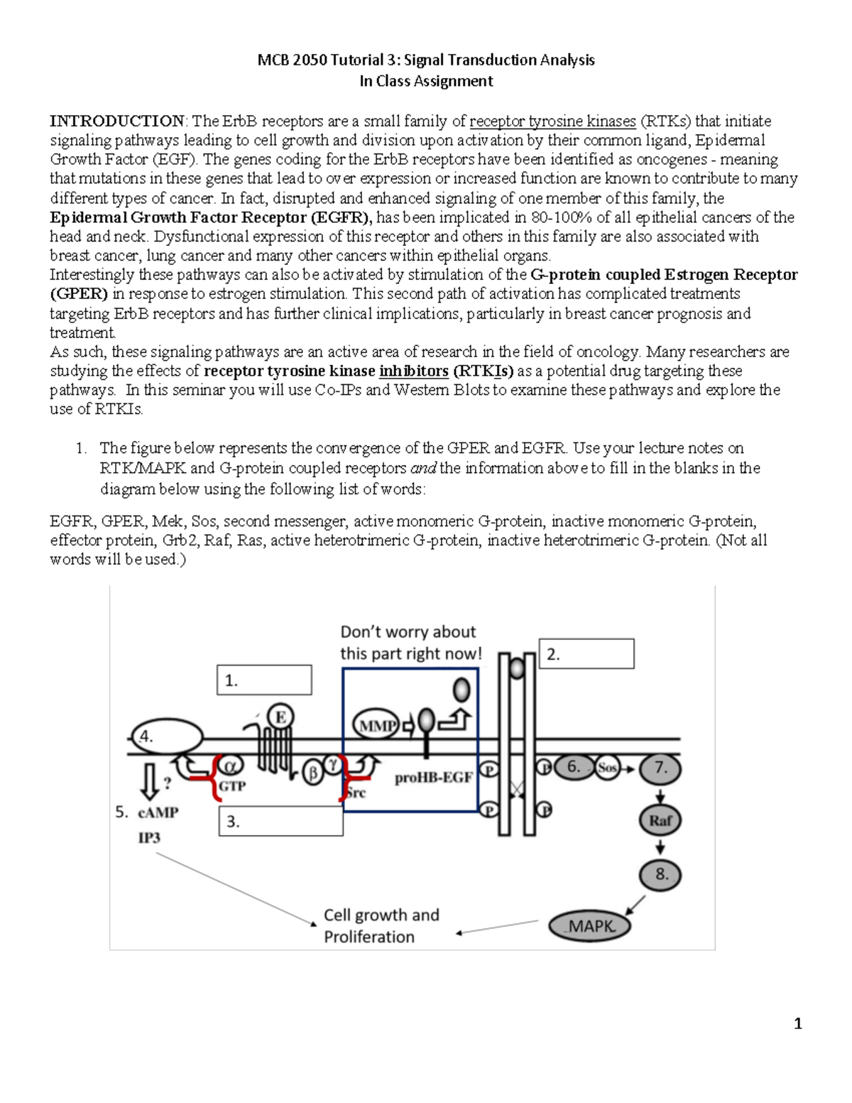 Week 4 Seminar 3 Assignment - MCB 2050 Tutorial 3: Signal Transduction Analysis In Class ...