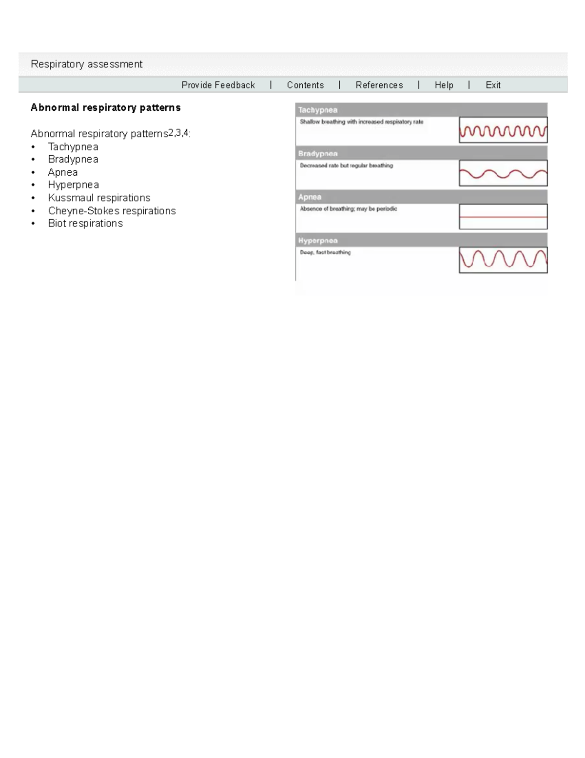 Basic Breath Sounds Slides- Lippincott. COPY - Respiratory assessment ...