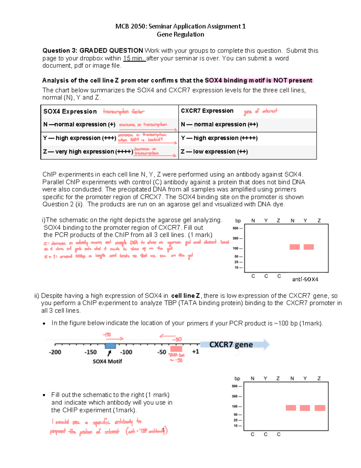 MCB 2050: Seminar Assignment 1 on Gene Regulation Analysis - Studocu