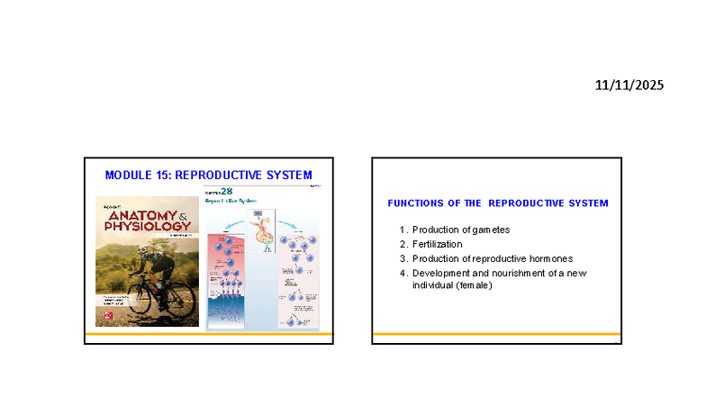 Module 15: Reproductive System Overview and Functions - Studocu