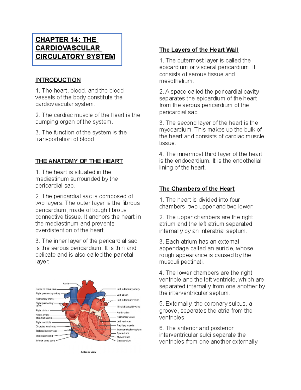 Anaphy - Chapter 14: The Cardiovascular System Overview - Studocu