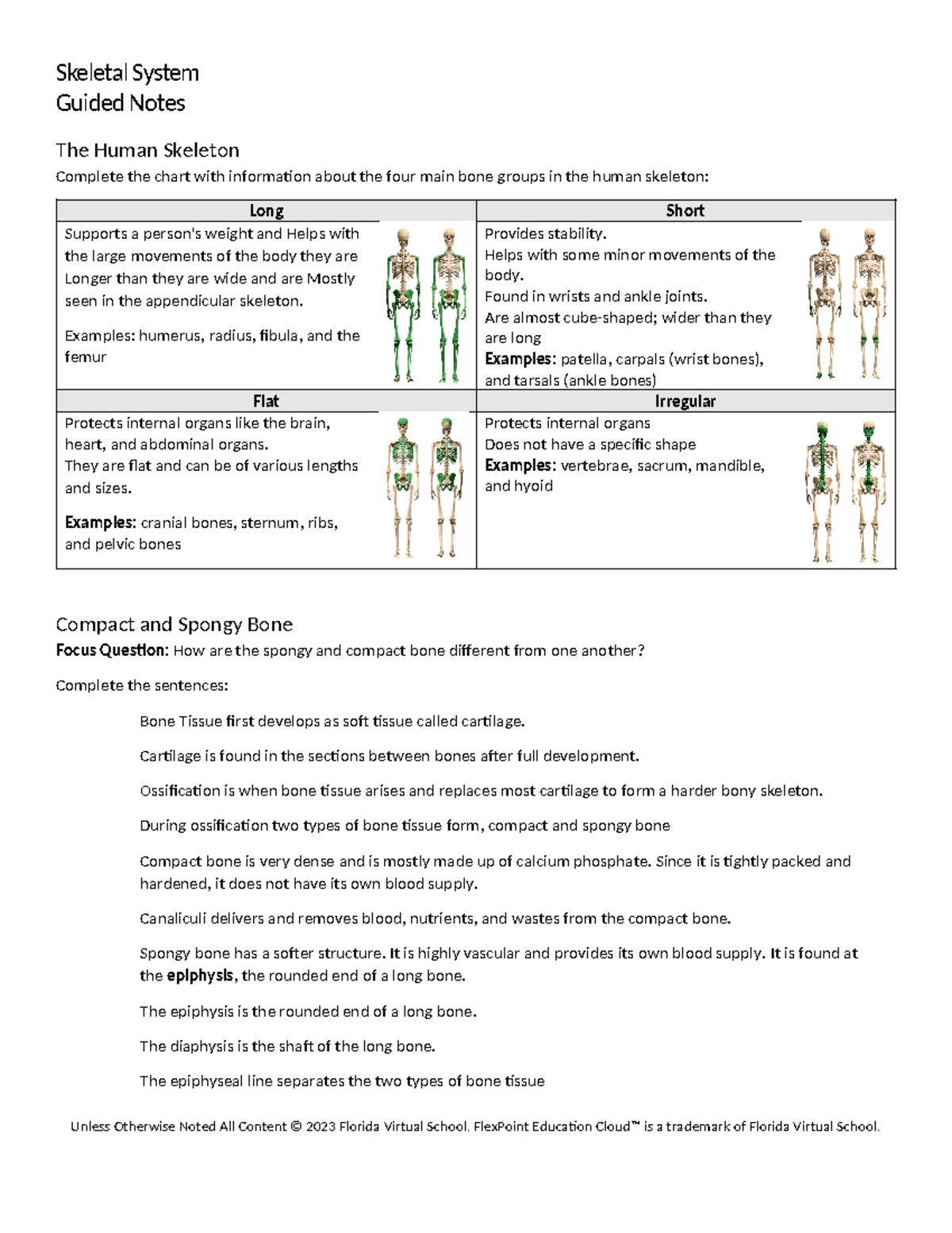 2.02 Skeletal System - Comprehensive Class Notes and Study Guide - Studocu