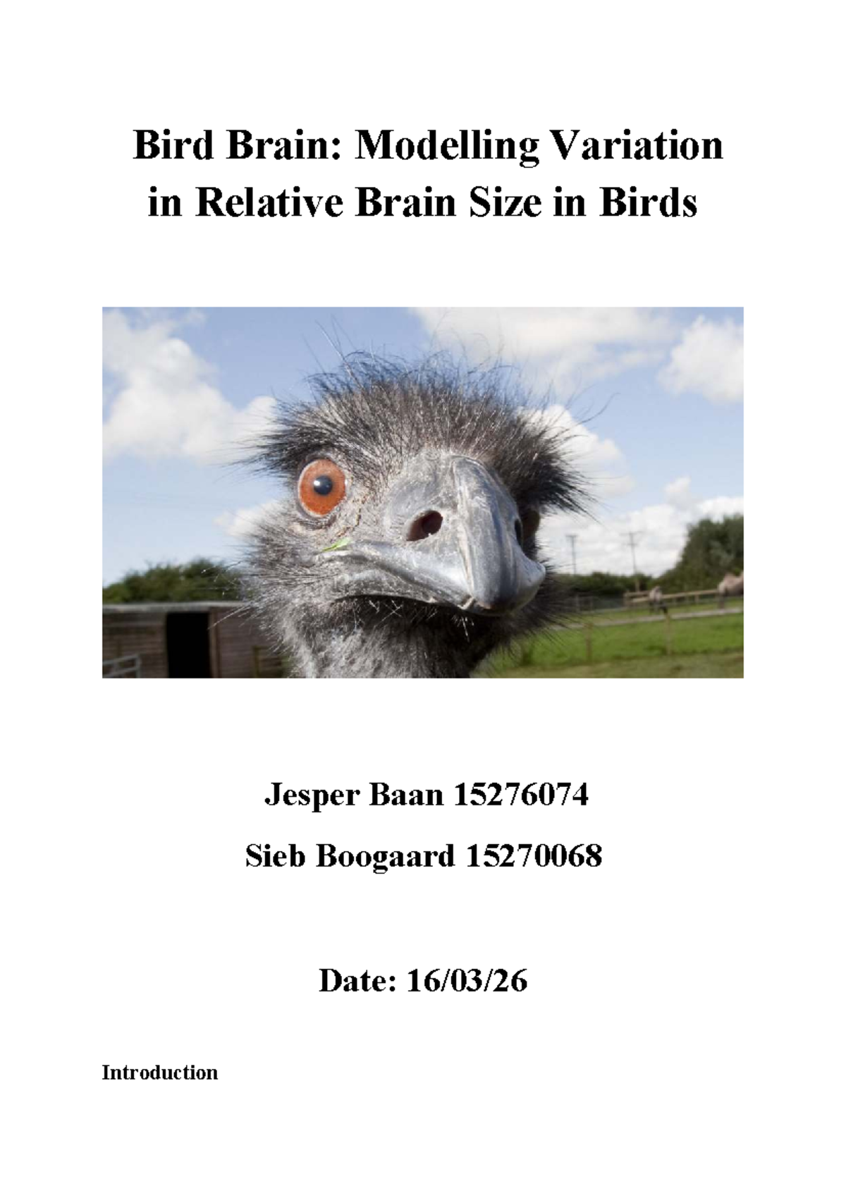 Bird Brain: Examining Relative Brain Size Variation in Birds (BIO 101 ...