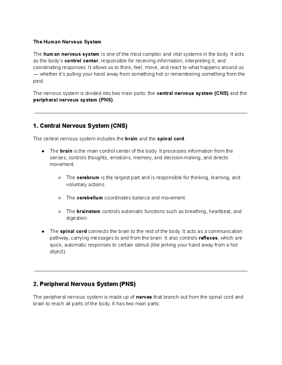 Nervous System Overview: CNS, PNS, and Neurons Explained - Studocu
