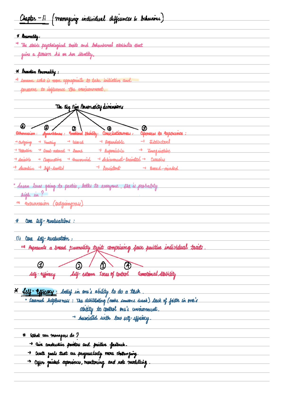 Chapter 11: Managing Individual Differences and Behavior in ...