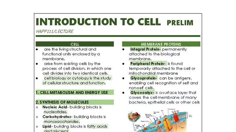 HAPP 101 - Lecture Notes on Cell Structure and Function - Studocu