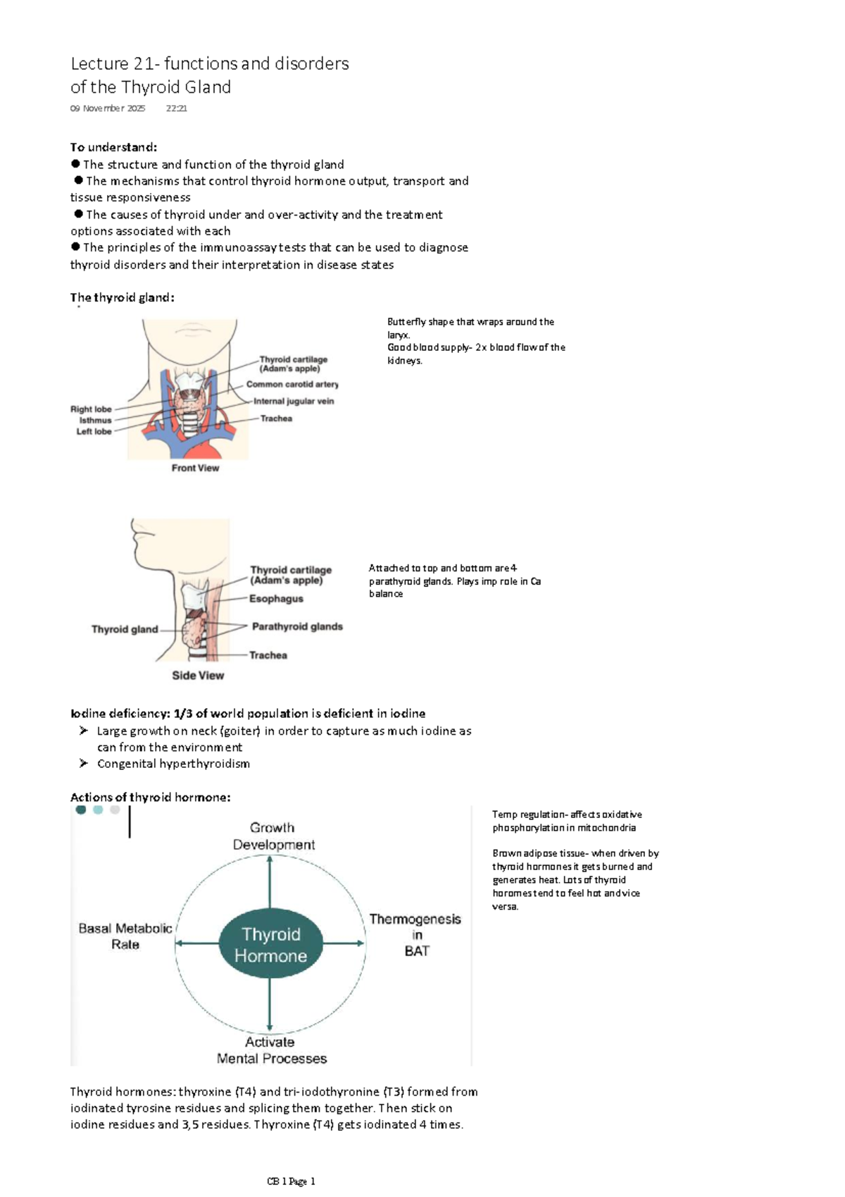 Lecture on Thyroid Gland Functions and Disorders (Course Code: THY101 ...