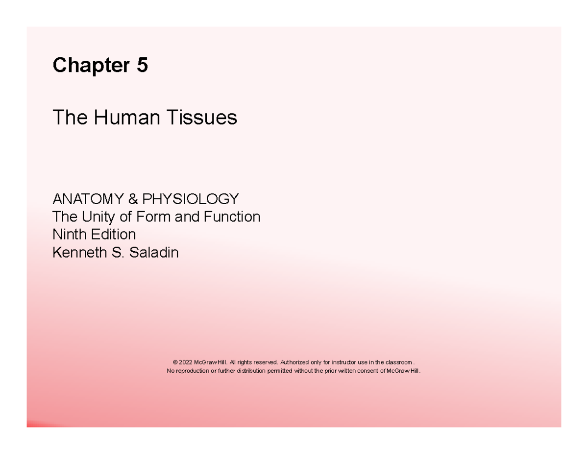 Anatomy & Physiology Chapter 5: Histology of Human Tissues - Chapter 5 ...