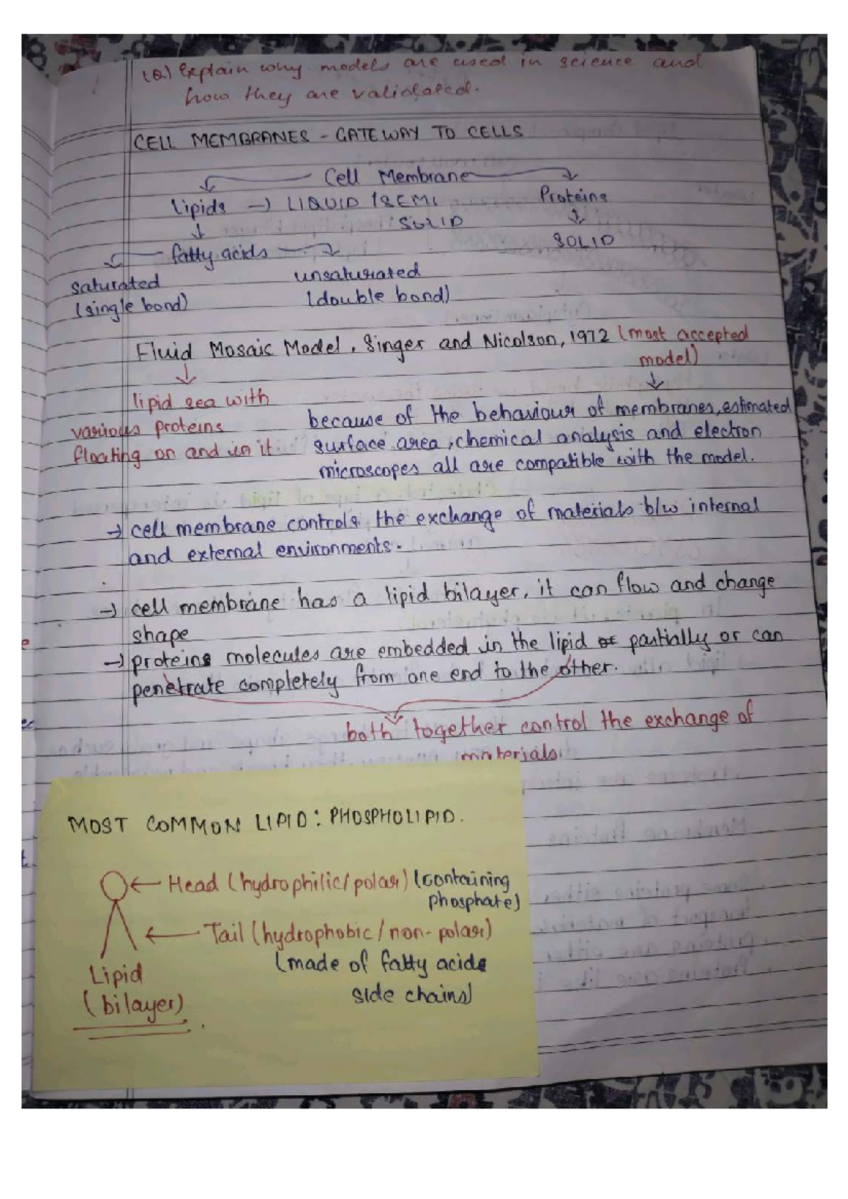 CELL 101: Notes on Cell Membrane Structure and Function - Studocu