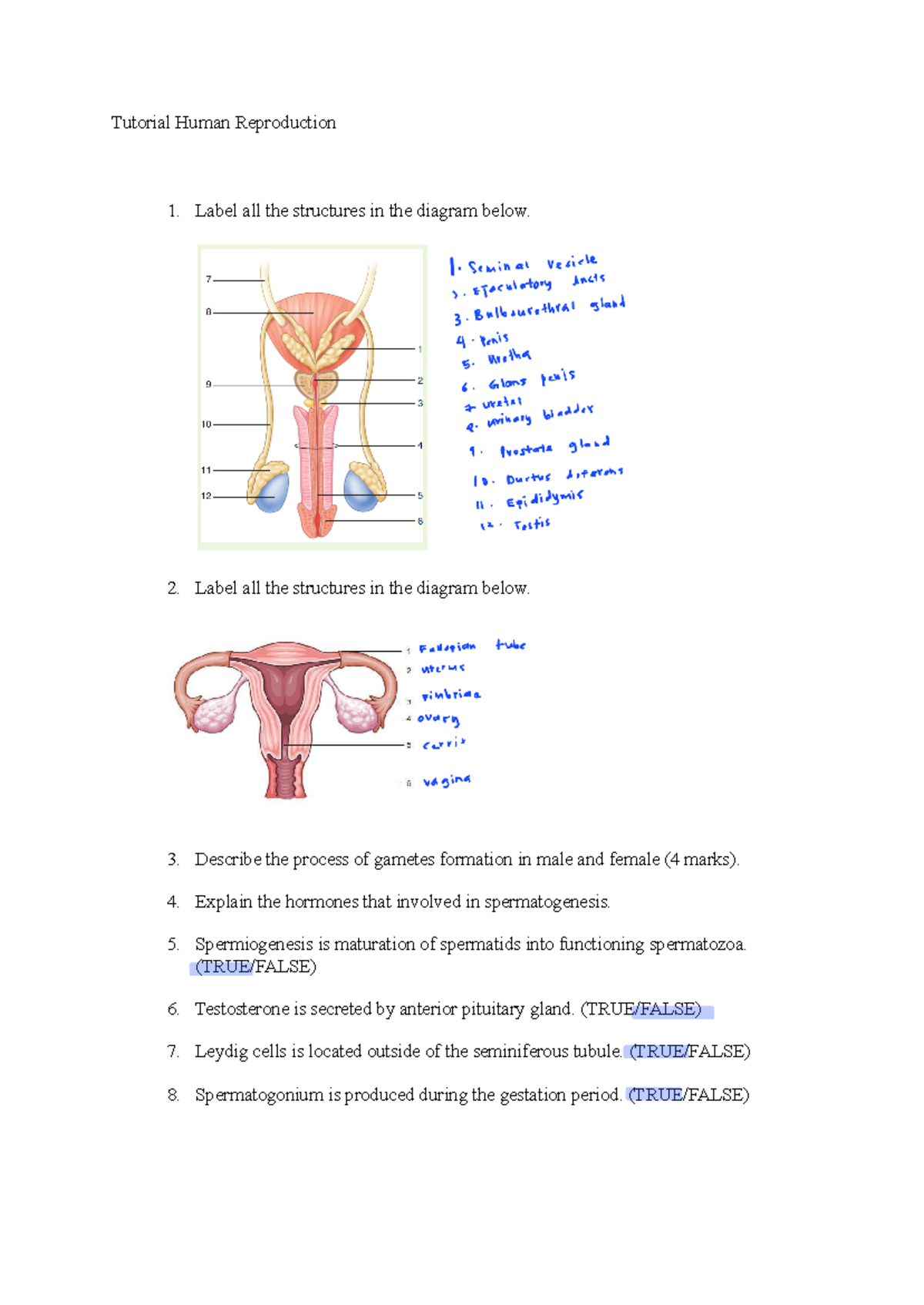Tutorial Chapter 10 250103 142819 - Tutorial Human Reproduction 1 ...