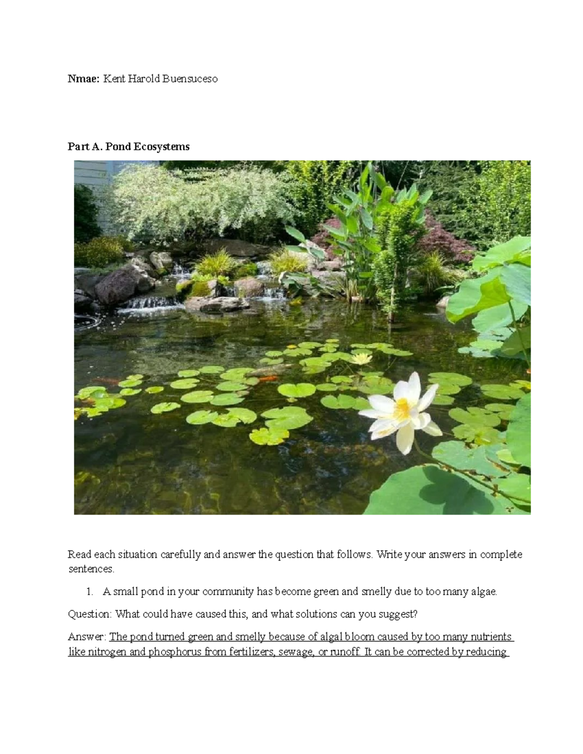 Ecosystems Gclassrooms: Pond Ecosystem Analysis and Solutions - Studocu