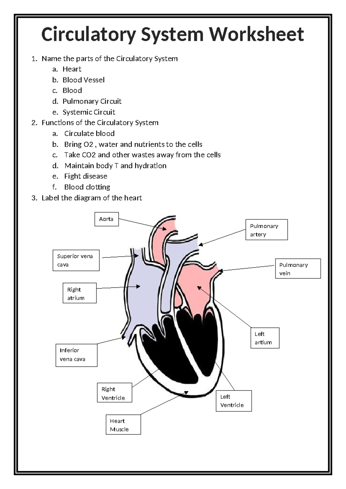 Circulatory System Worksheet (CS101) - Key Concepts and Functions - Studocu
