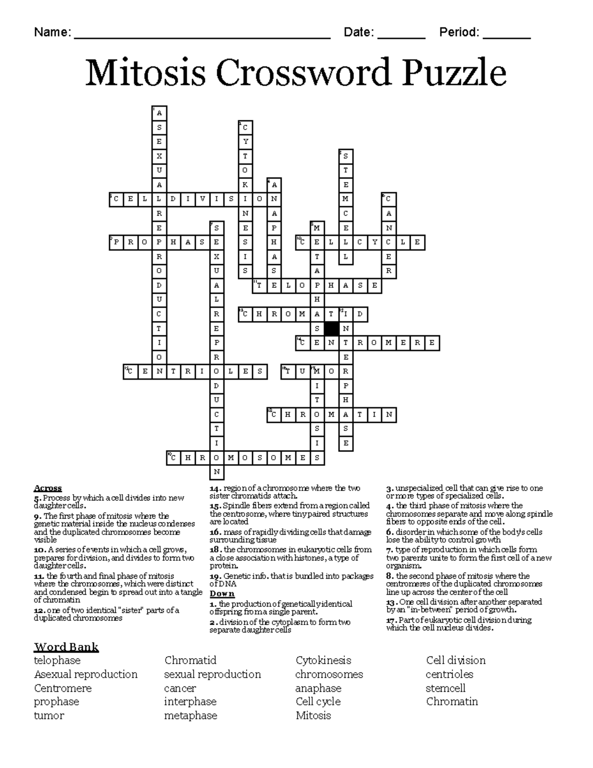 Mitosis Crossword Puzzle Answer Key - Biology 101 - Studocu