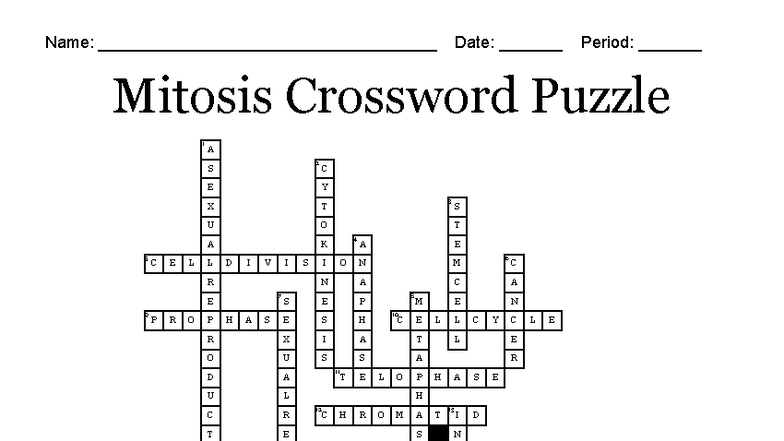 Mitosis Crossword Puzzle Answer Key - Biology 101 - Studocu