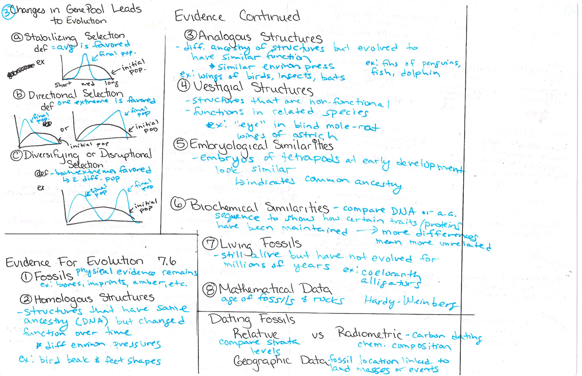 Evidence of Evolution & Origins of Life - Final Notes - Studocu