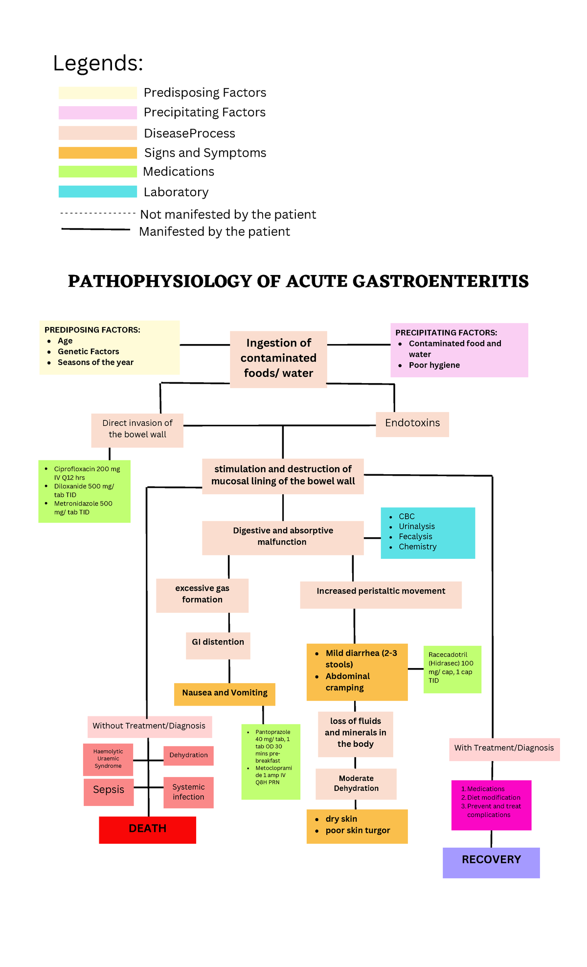 Pathophysiology of Acute Gastroenteritis: Key Factors and Treatment ...