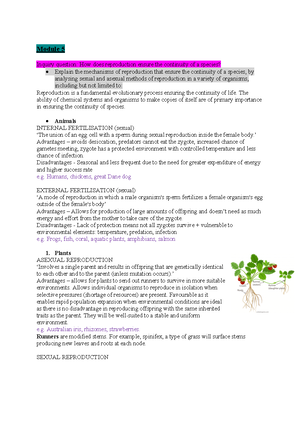 Business Studies Grade 12 TERM 2 DBE Revised Notes 2024 - BUSINESS ...