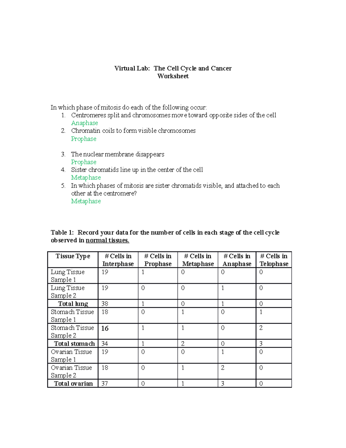 Cell Cycle and Cancer Analysis Worksheet (BIOL 101) - Studocu