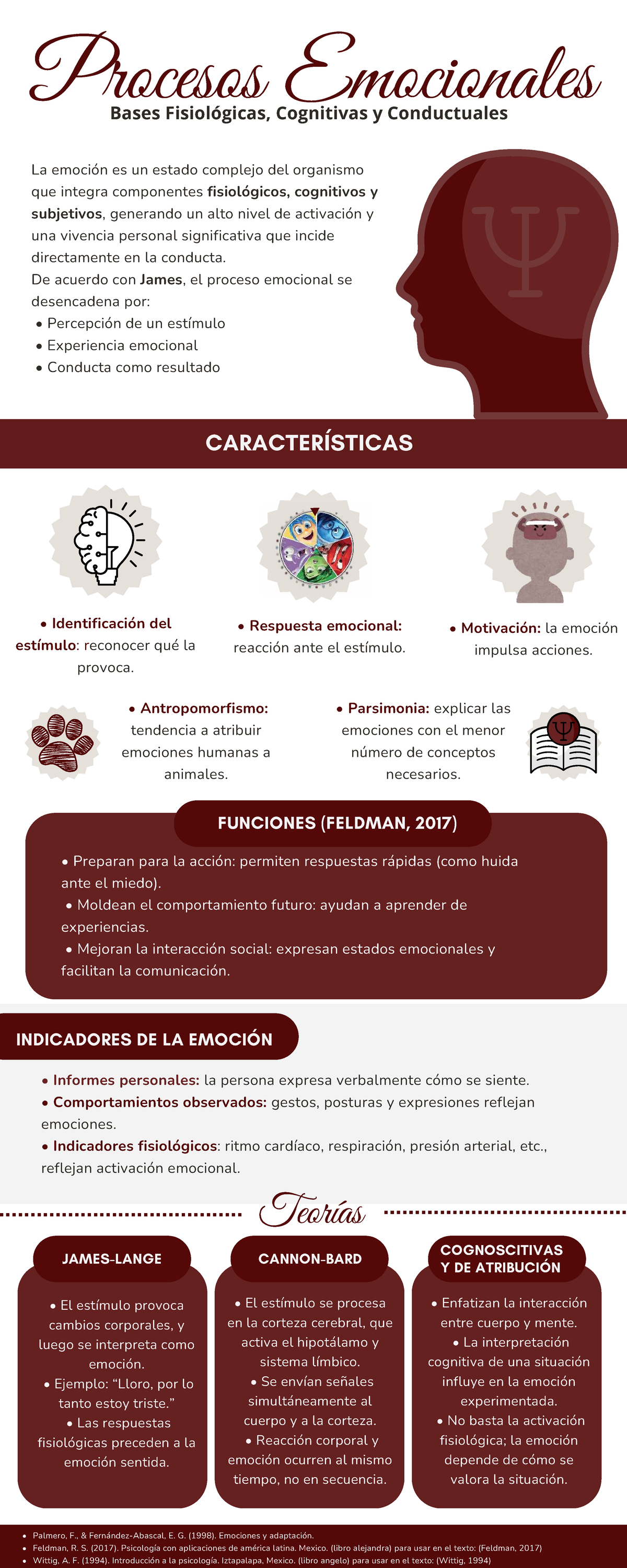 Procesos Emocionales: Bases Fisiológicas y Cognitivas en Psicología ...