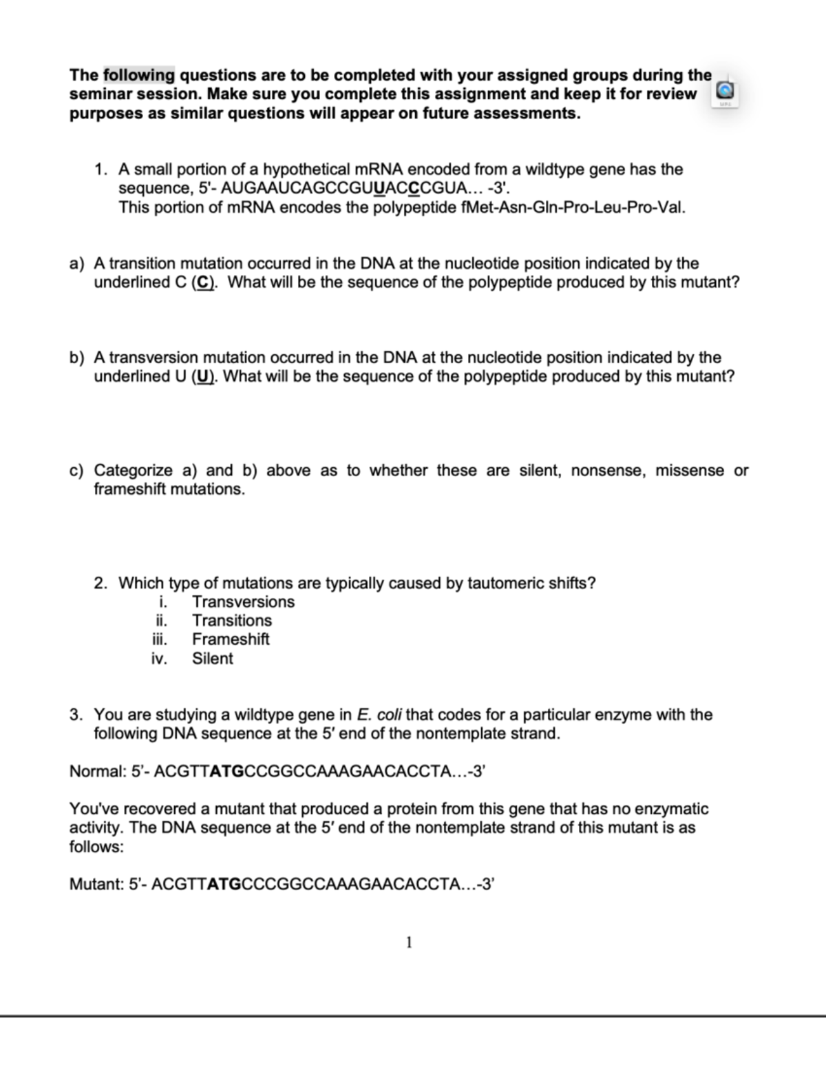 Mbg - Seminar Practice: Understanding mRNA Mutations and Their Effects ...