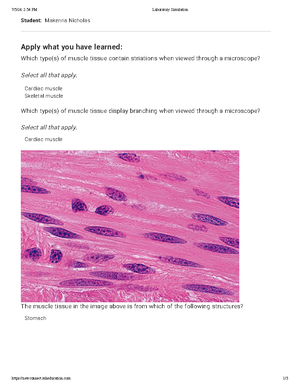 Mod 2 - Epithelial Tissue Lab - Student: Makenna Nicholas Phases ...