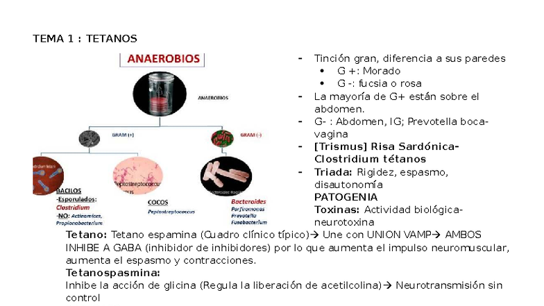 Final Exam Preparation: Tetanus, Botulism, and Leptospirosis (MED 101 ...