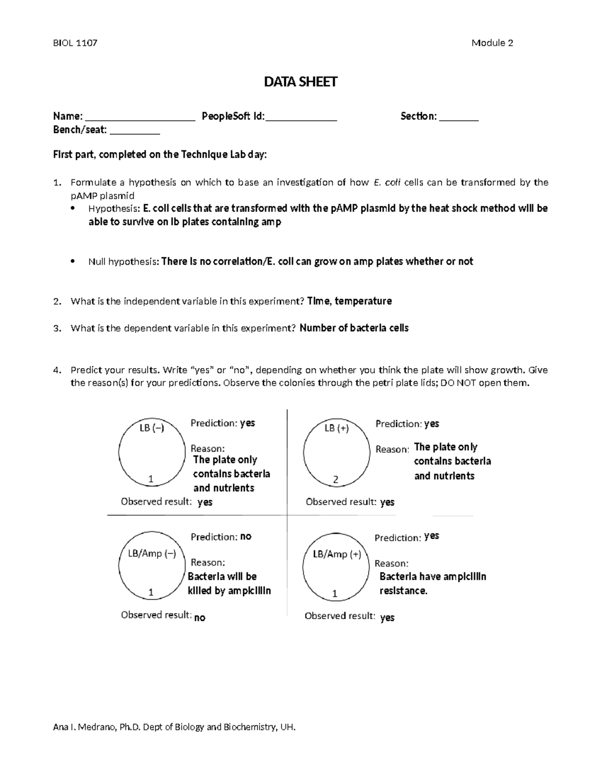 Mod2 Data Sheet - data - BIOL 1107 Module 2 DATA SHEET Name: PeopleSoft Id: Section: Bench/seat ...