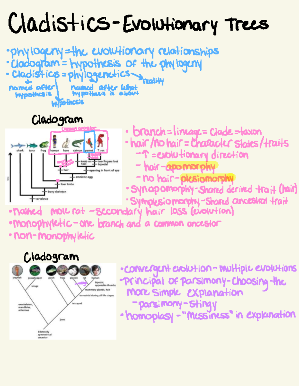 Cladistics and Evolutionary Trees: Understanding Phylogenetic ...