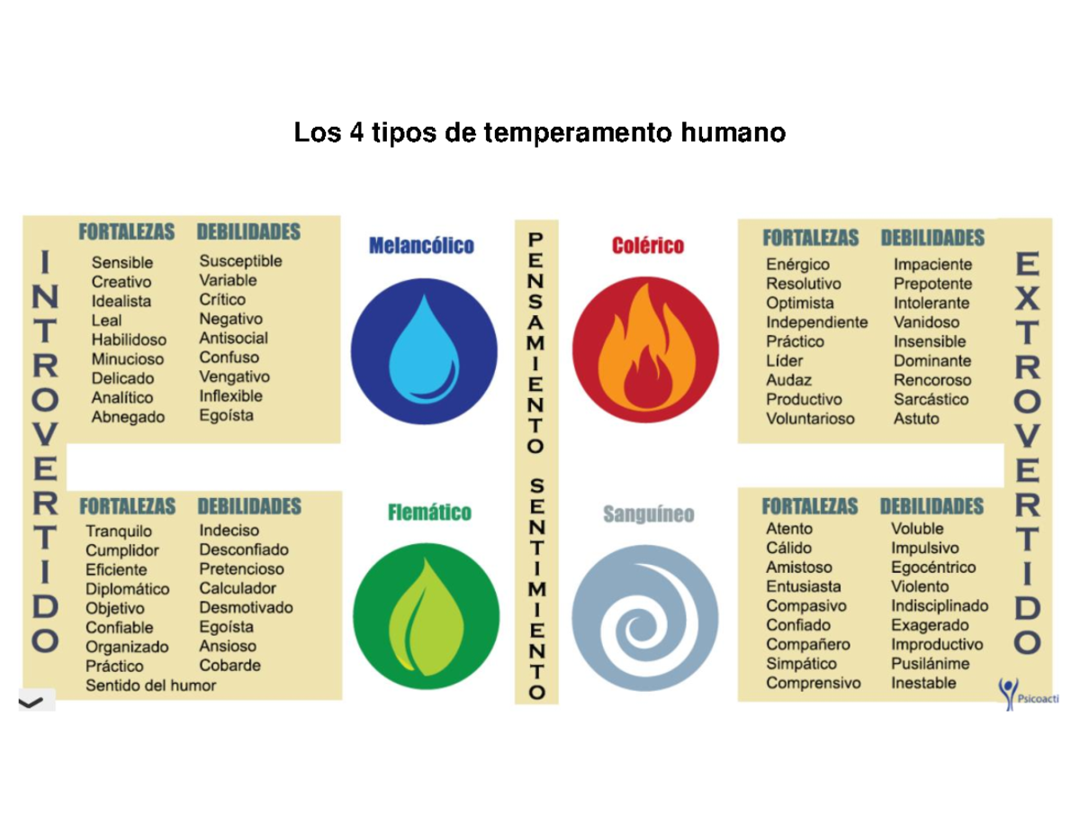 Infografía del temperamento - Los 4 tipos de temperamento humano ...