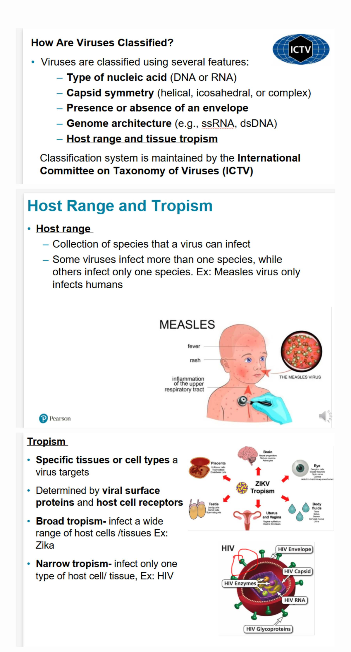 Midterm Study Guide for Course XYZ: Virus Classification and ...