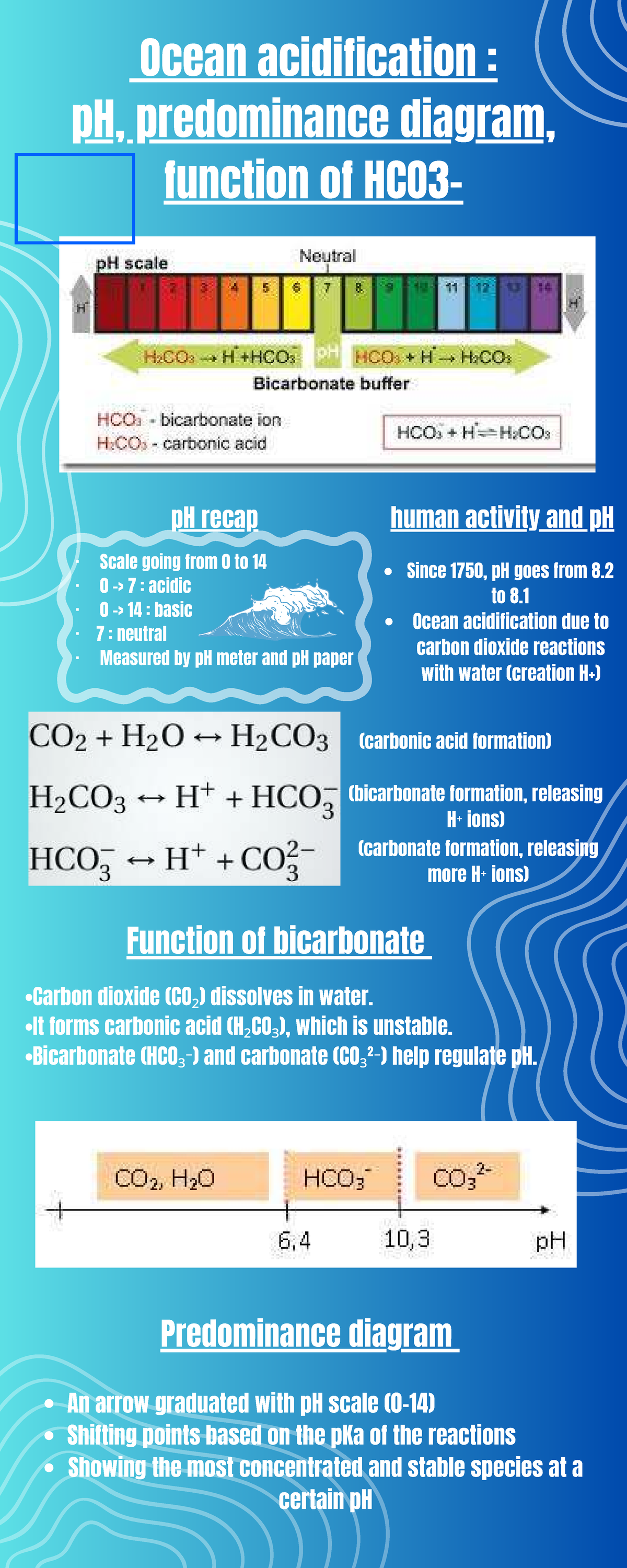 Ocean Acidification: pH Scale, Predominance Diagram & Human Impact ...