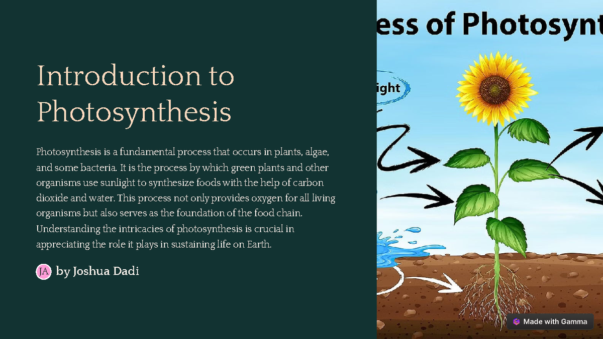 Introduction-to-Photosynthesis - Introduction to Photosynthesis ...
