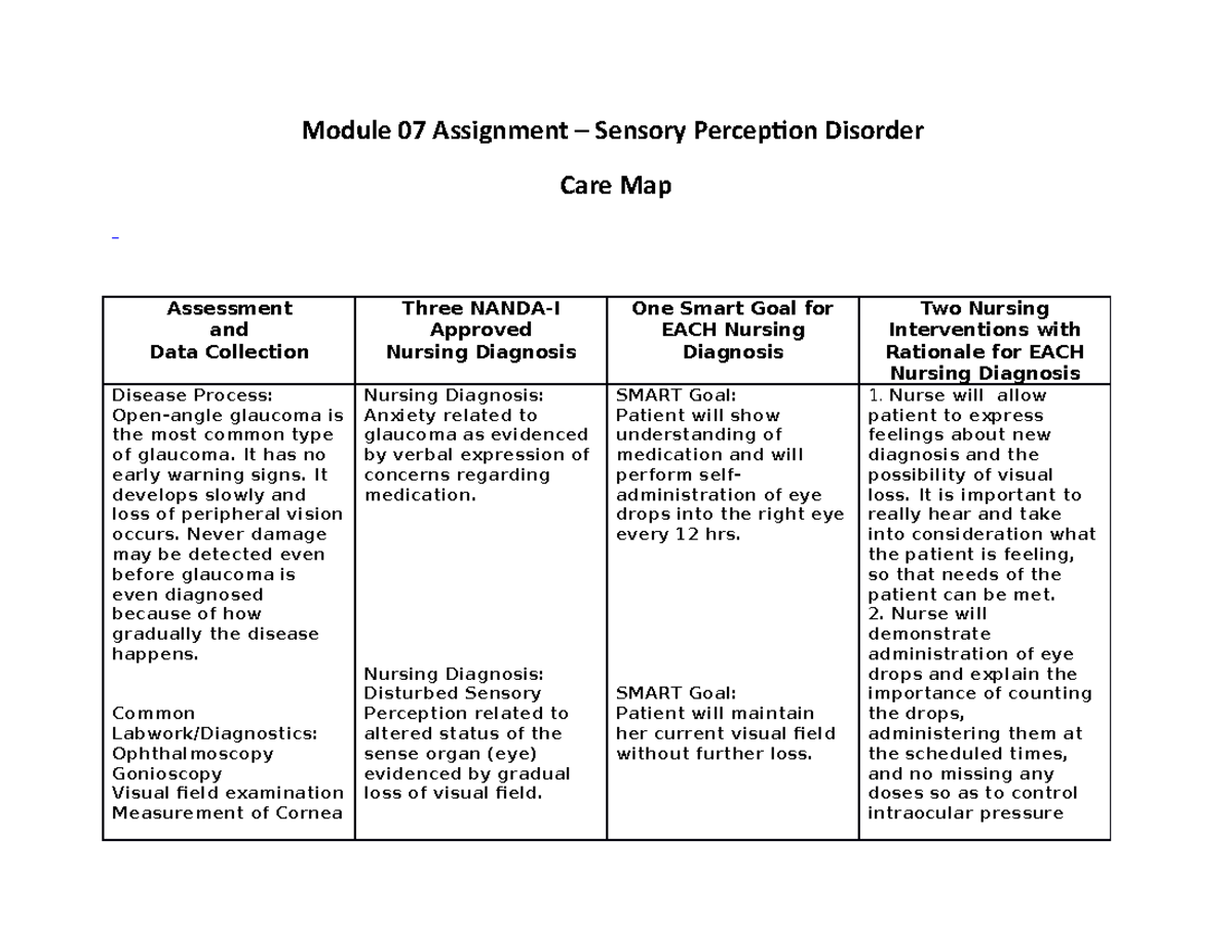 NUR 2356 Module 07 Assignment 1220 - Module 07 Assignment – Sensory Perception Disorder Care Map ...