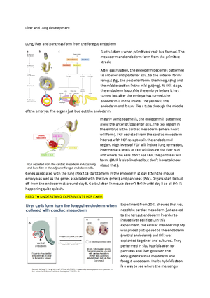 Shh Pathway Disruption: Key Examples & Resultant Defects in Embryos ...