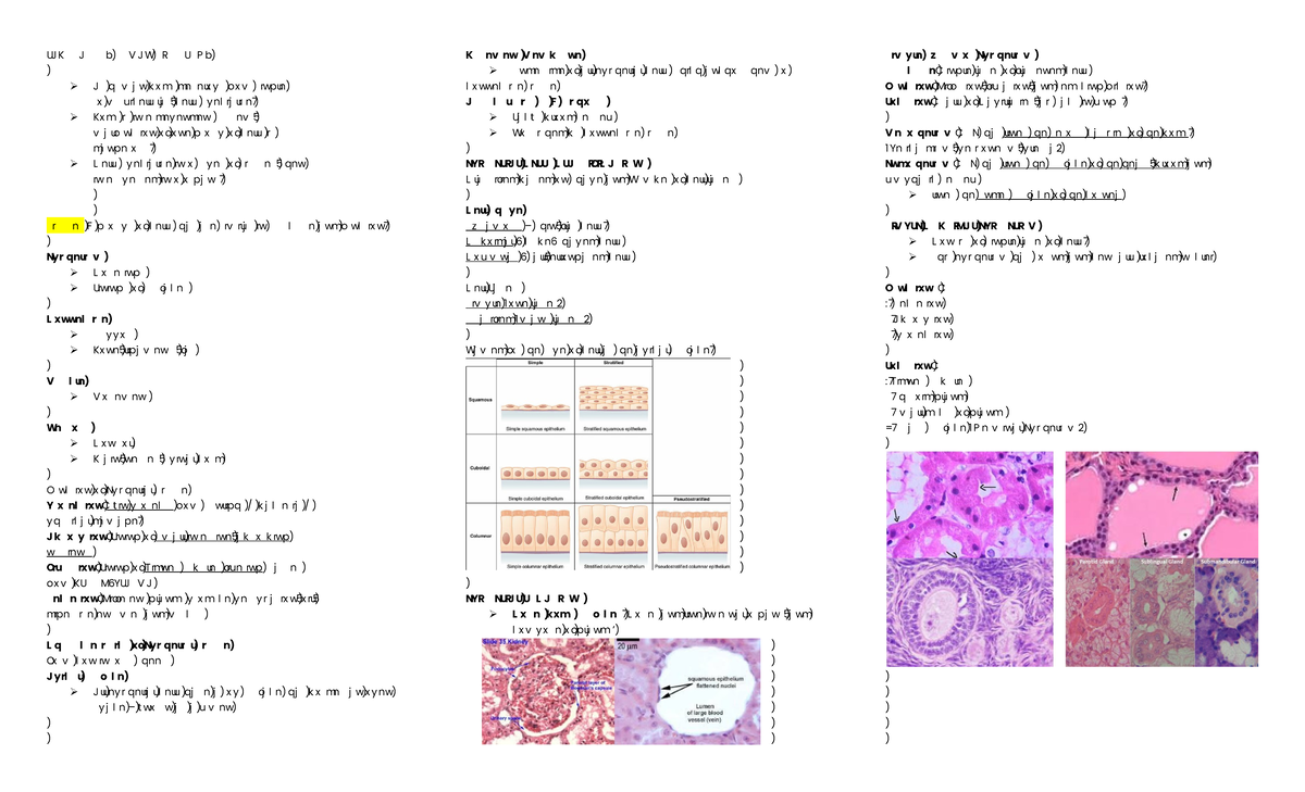 LABORATORY NOTES ON HUMAN HISTOLOGY: CELLULAR SPECIALIZATION - Studocu